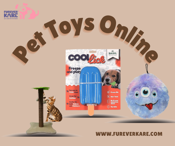 Buy Pet Toys for Dogs and Cats in India | Pet Toys Online – Furever Kare
